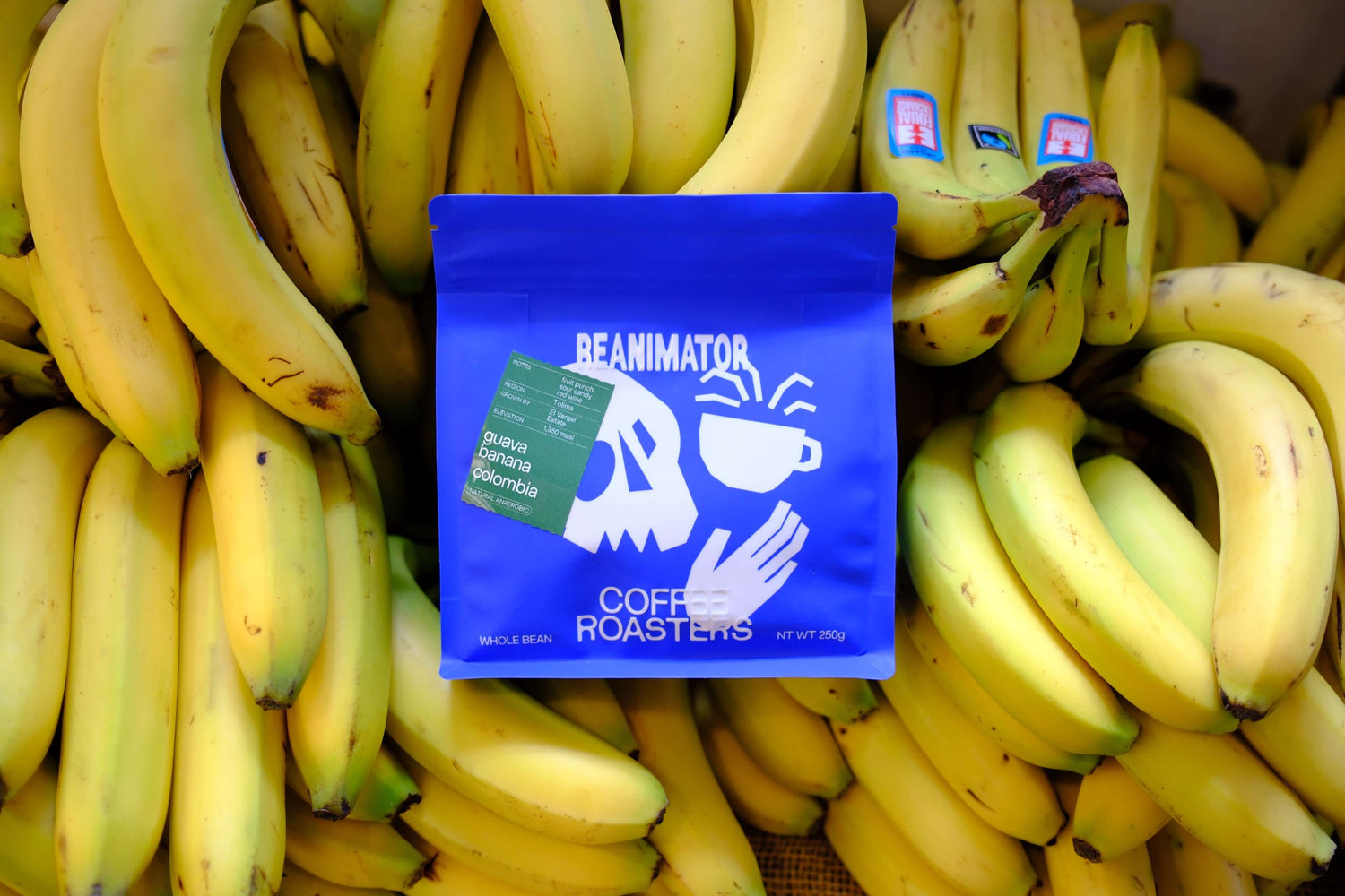 ReAnimator Coffee | Specialty Coffee Roaster